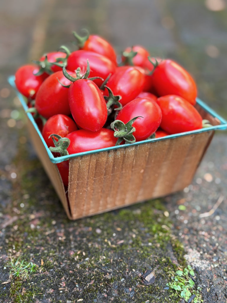 Tomato, 'Donatellina' | Uprising Seeds